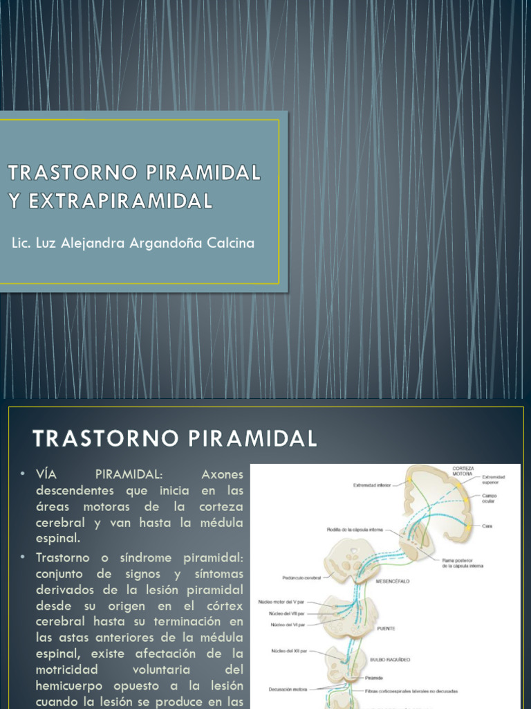 Trastorno Piramidal y Extrapiramidal | PDF | Neuroanatomía | Neurología