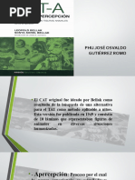 Ficha Técnica del Test CAT | PDF | Psicoanálisis | Conceptos psicologicos