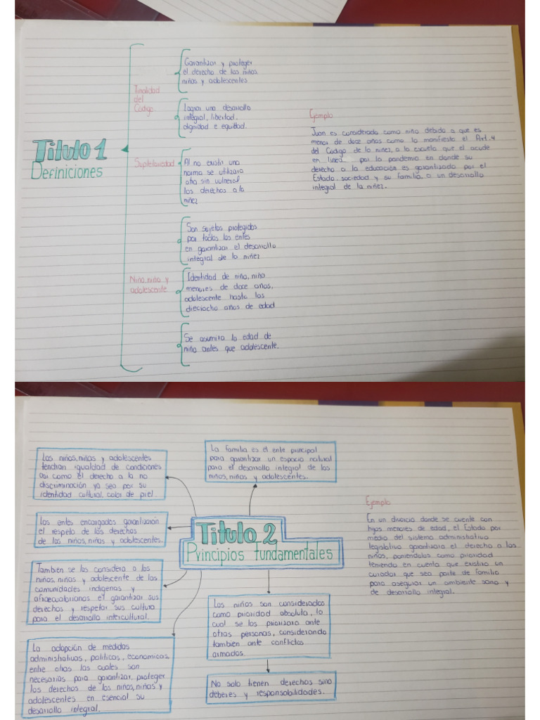 Tarea 1 Analisis Del Titulo I, Titulo II, Titulo III, Capitulo I, II y III | PDF
