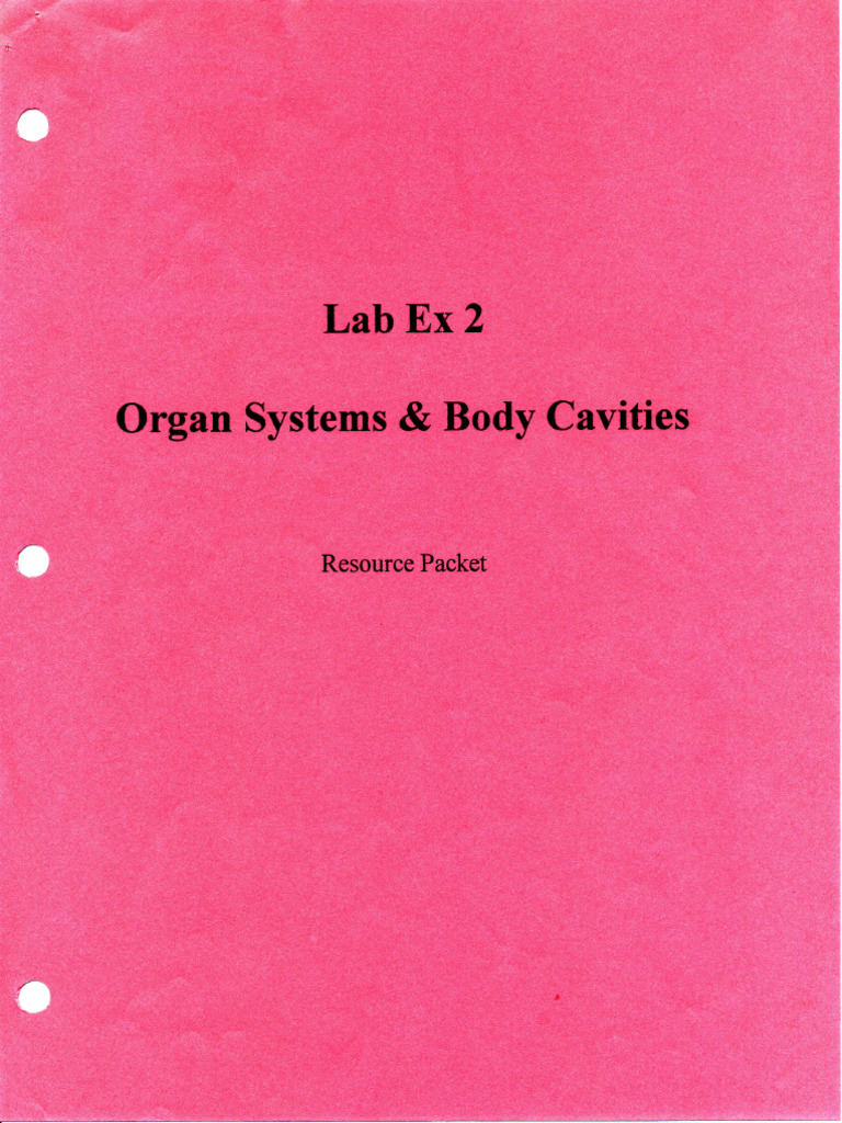 Organ Systems and Body Cavities Overview | PDF | Human Body | Peritoneum
