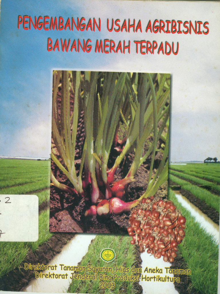 Pengembangan Usaha Agribisnis Bawang Merah Terpadu 2003 | PDF