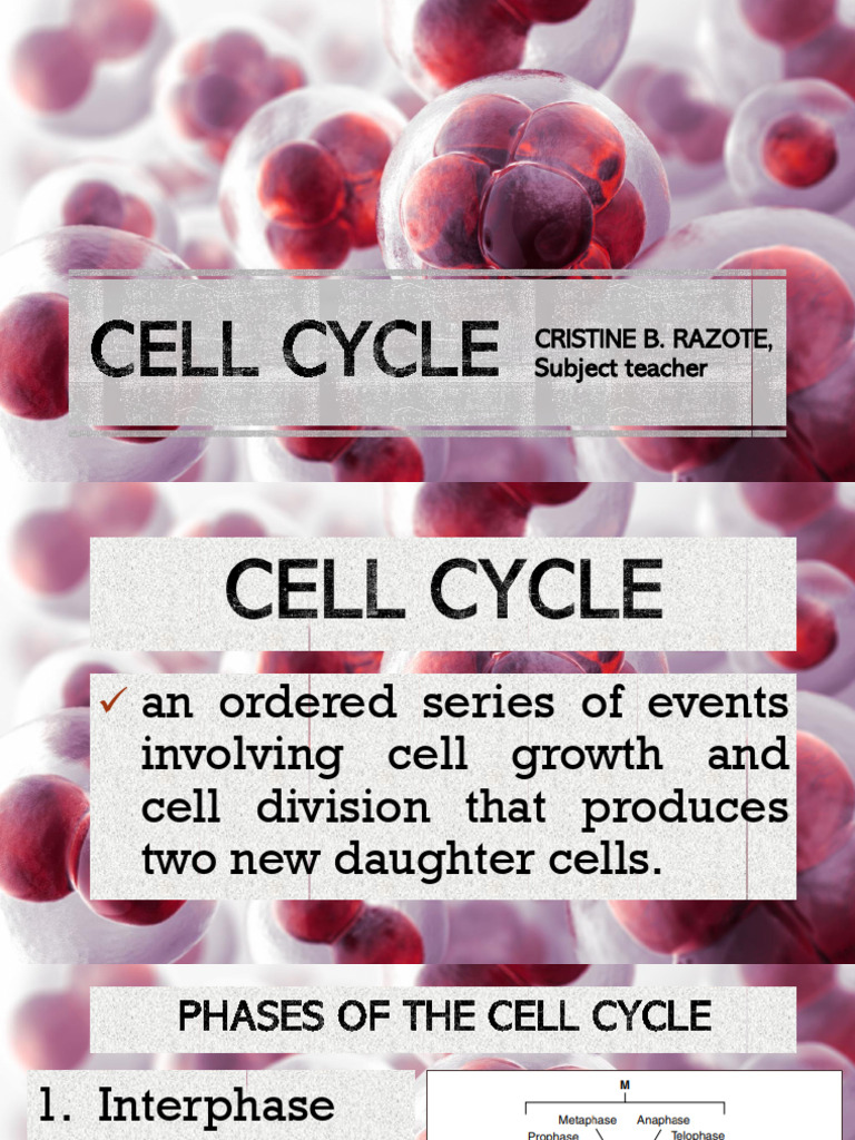 Biology-1_Week-4_CELL-CYCLE (1) | PDF