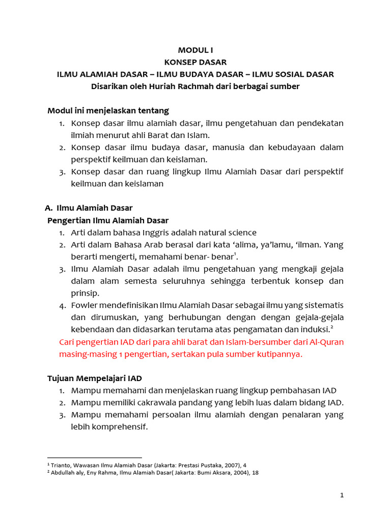 Modul 1 Ibd-Iad-Isd | PDF