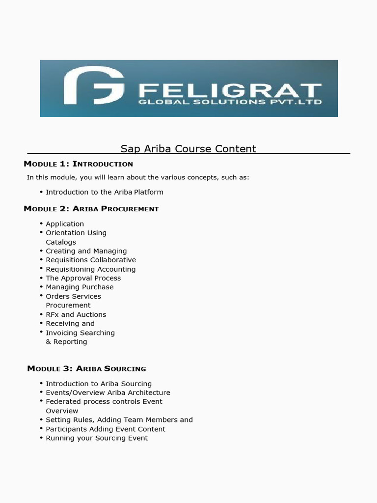 Ariba Course Contents - Feligrat | PDF