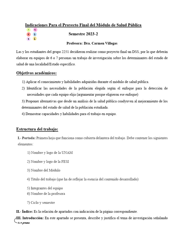 Indicaciones para El Proyecto Final DSS | PDF