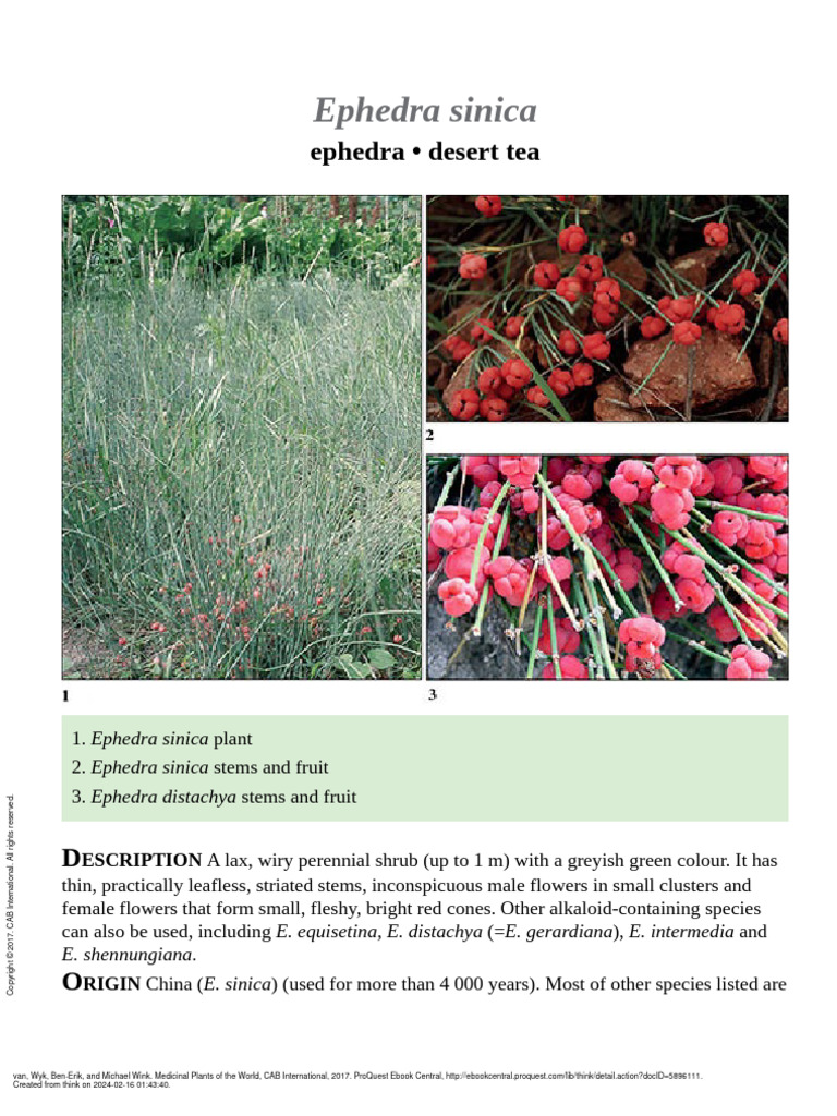 Medicinal Plants of The World - (PG 272 - 273) | PDF | Pharmacology | Drugs