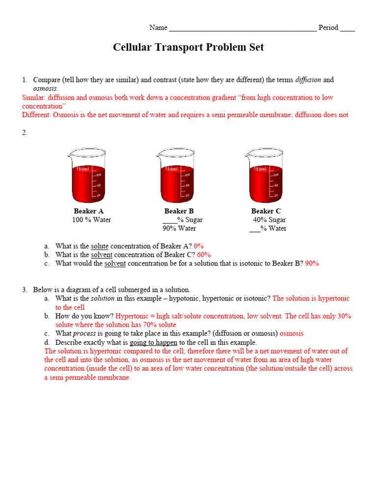 Cell Transport Problems Incl Solutions | PDF | Osmosis | Physical Sciences
