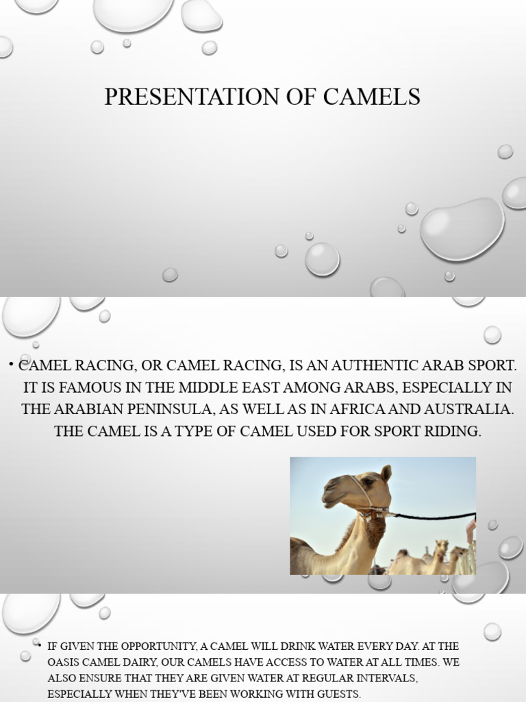 Presentation Anas Pdf