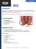 Anatomia Exposicion Recto y Ano | PDF | Recto | Pelvis