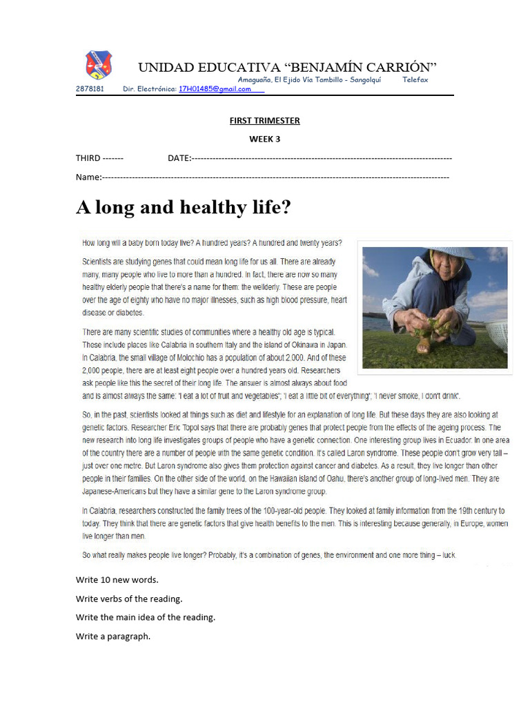 Third English Activities FT-6 | PDF | Language Families | Grammar