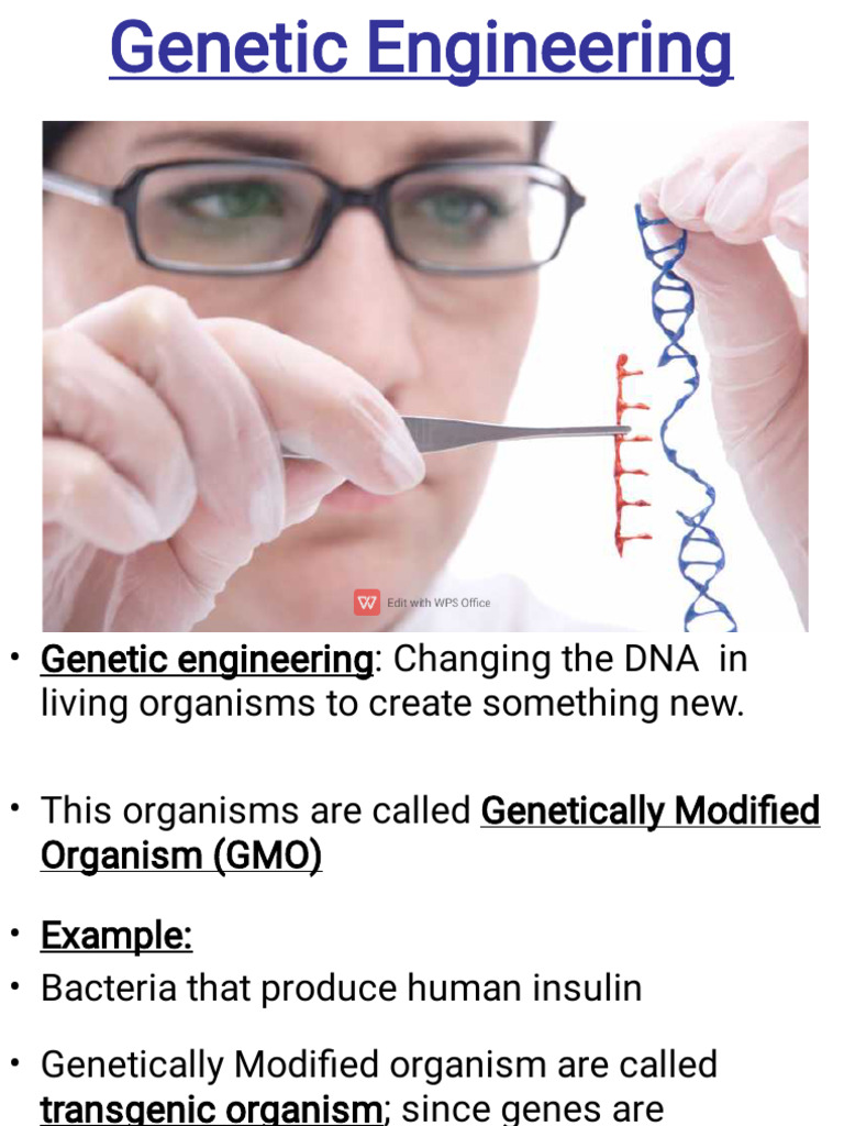 Topic 14 - Genetic Technology | PDF | Ploidy | Molecular Cloning