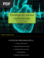 Circulação Colateral: Mecanismos, Importância Clínica e Implicações no ...