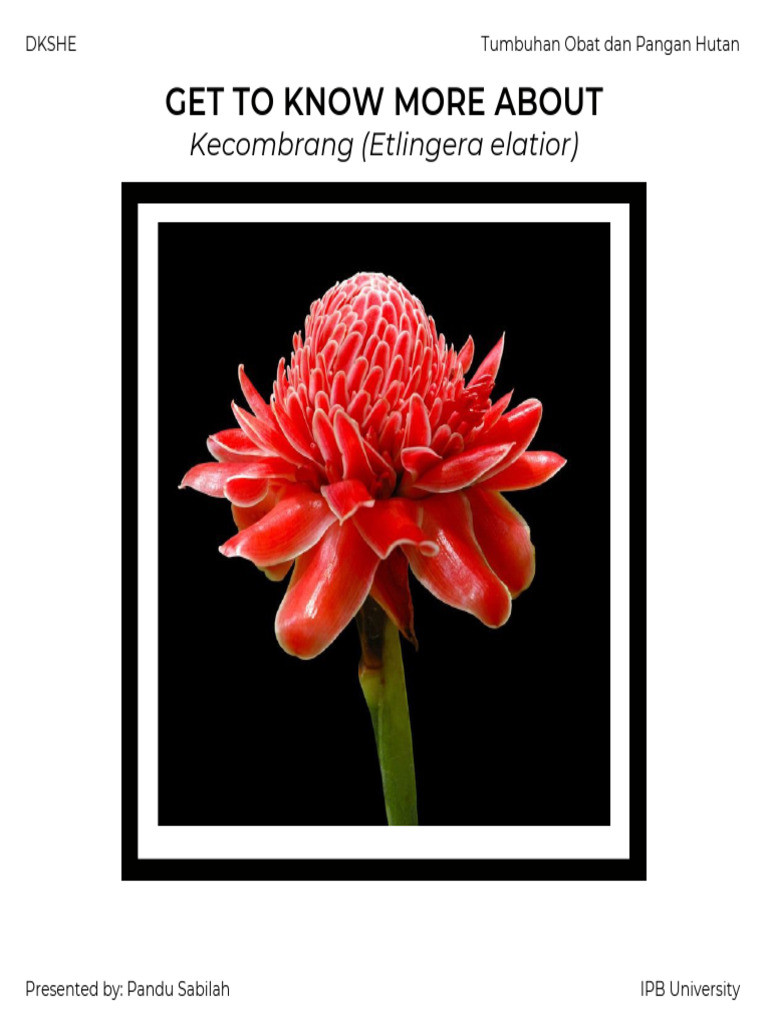 Pandu Sabilah E34012111004 7 TOPHSenin | PDF | Sains & Matematika