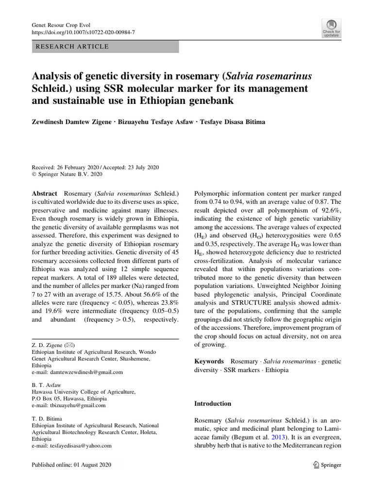 rose gene | PDF | Polymerase Chain Reaction | Zygosity
