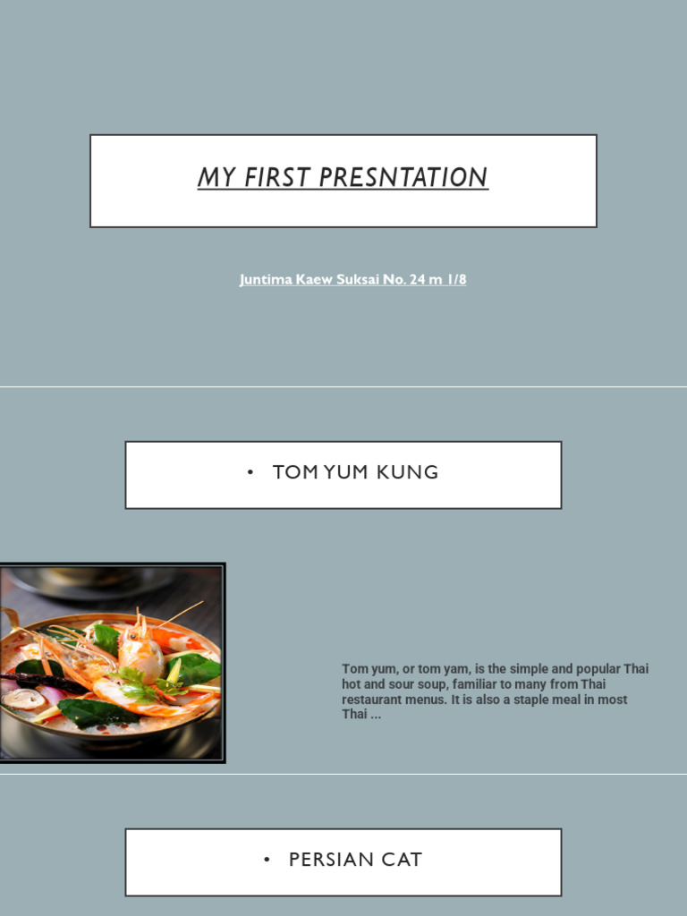 My First Presentation | PDF