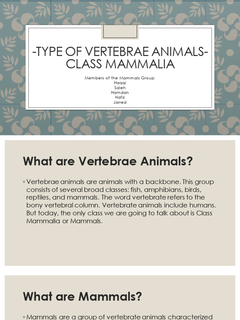 Vertebrae Animals - Mammals Group | PDF | Mammals | Marsupials