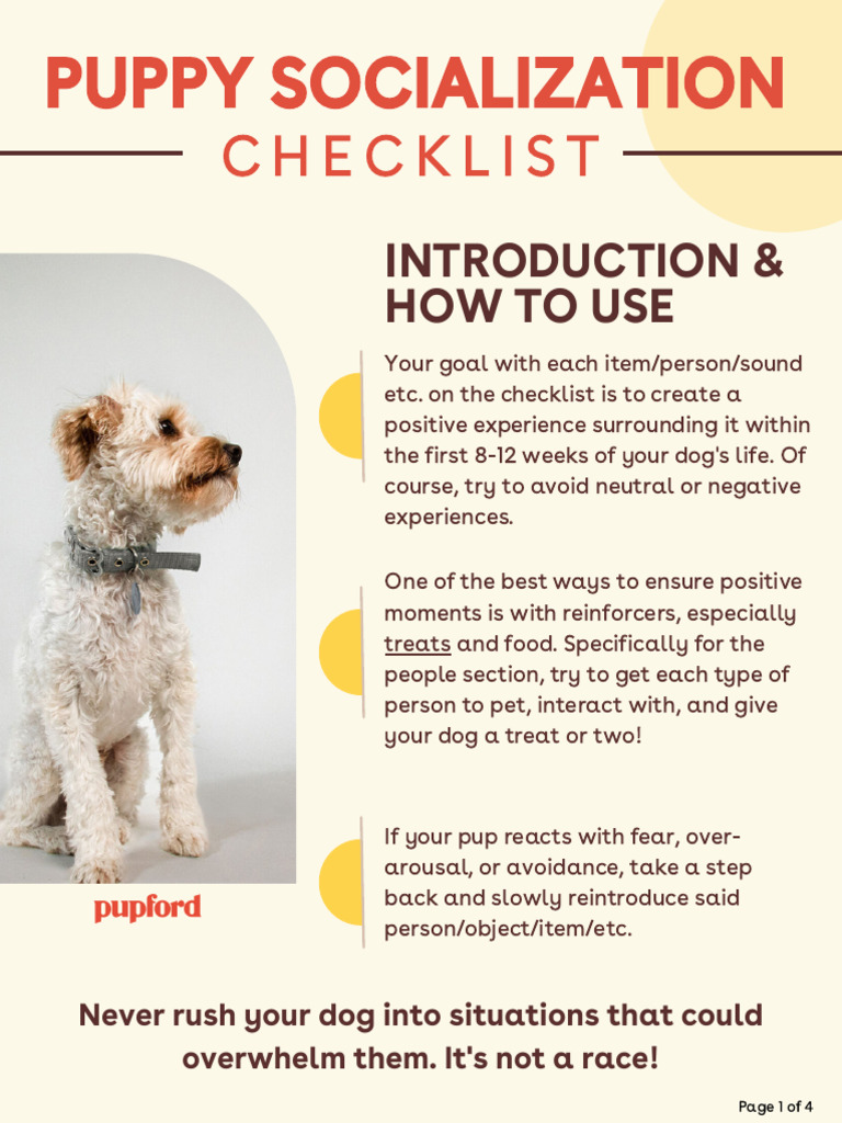 Puppy Socialization Checklist Guide | PDF | Pet | Dogs