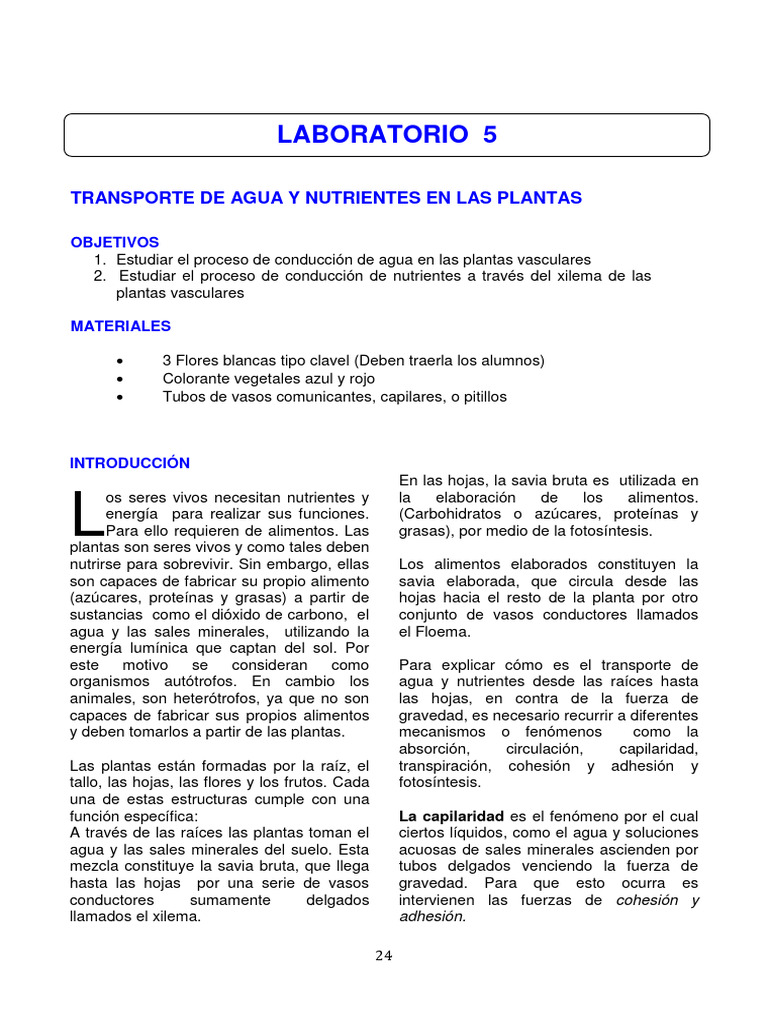 Laboratorio 5 Transporte en Plantas | PDF | Plantas | Agua