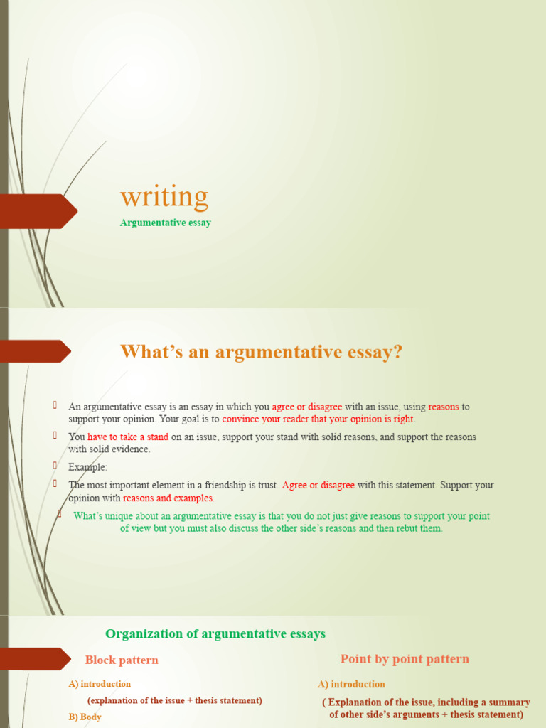 Argumentative Essay 1 | PDF | Essays | Argument