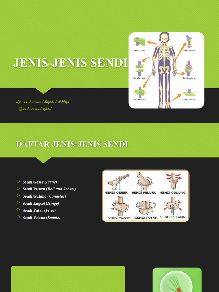 (POWER POINT) Jenis Jenis Sendi | PDF | Seni & Disiplin Bahasa | Kajian Bahasa Asing
