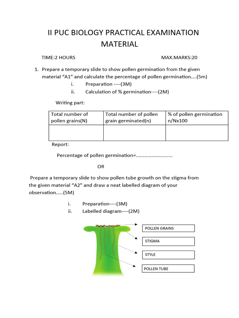 Ii Puc Biology Practical Examination-2024 | PDF | Testicle | Chromosome