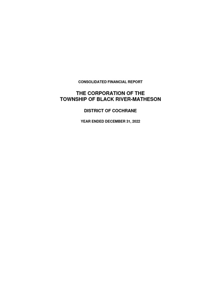 2022 Financial Statements | PDF | Going Concern | Audit