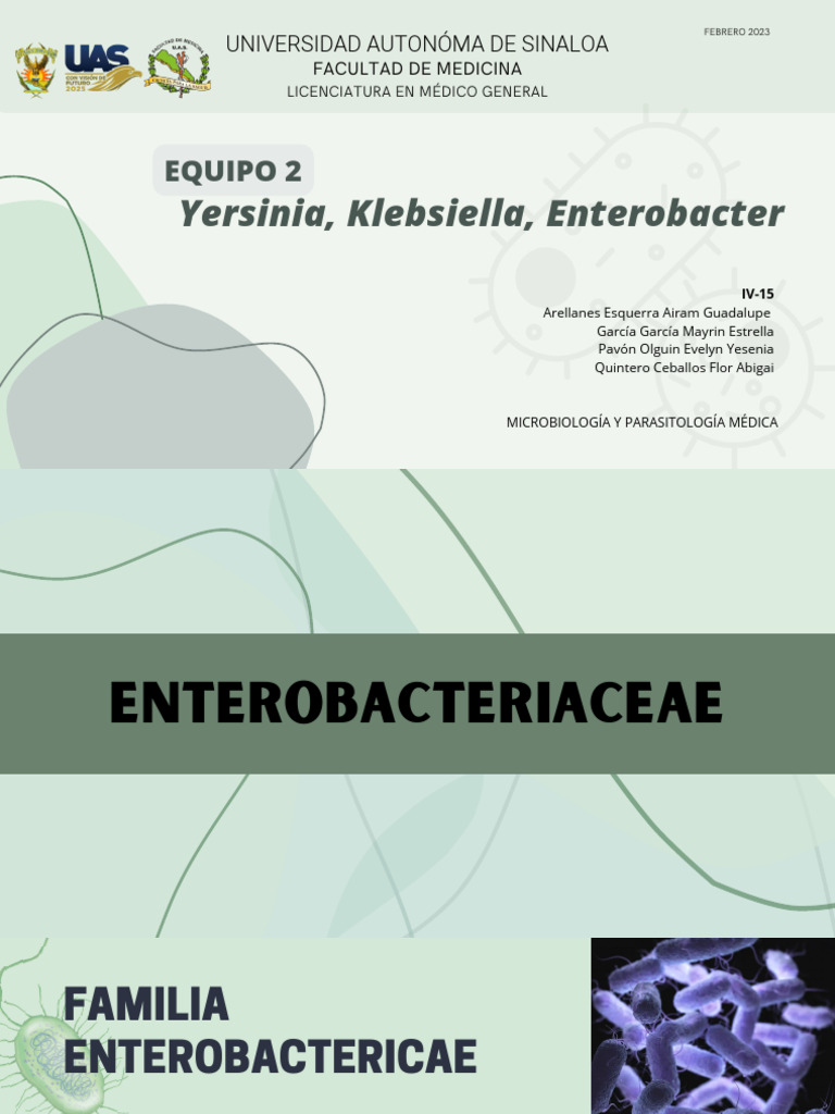 Yersinia, Klebsiella, Enterobacter | PDF | Escherichia coli | Especialidades Medicas