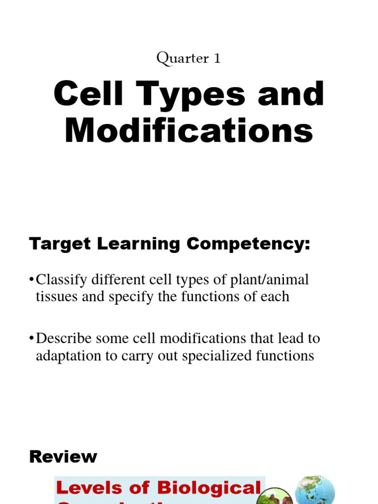 2 Cell Types and Modifications | PDF