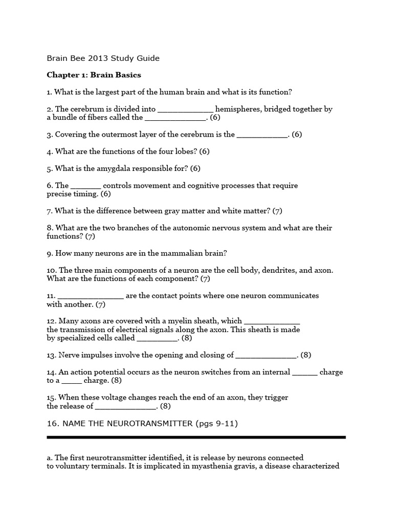 Brain Bee 2013 Study Guide Overview | PDF | Visual System | Stimulus ...