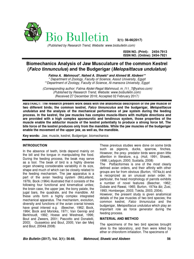 Biomechanics Analysis of Jaw Musculature of The Common Kestrel Falco ...