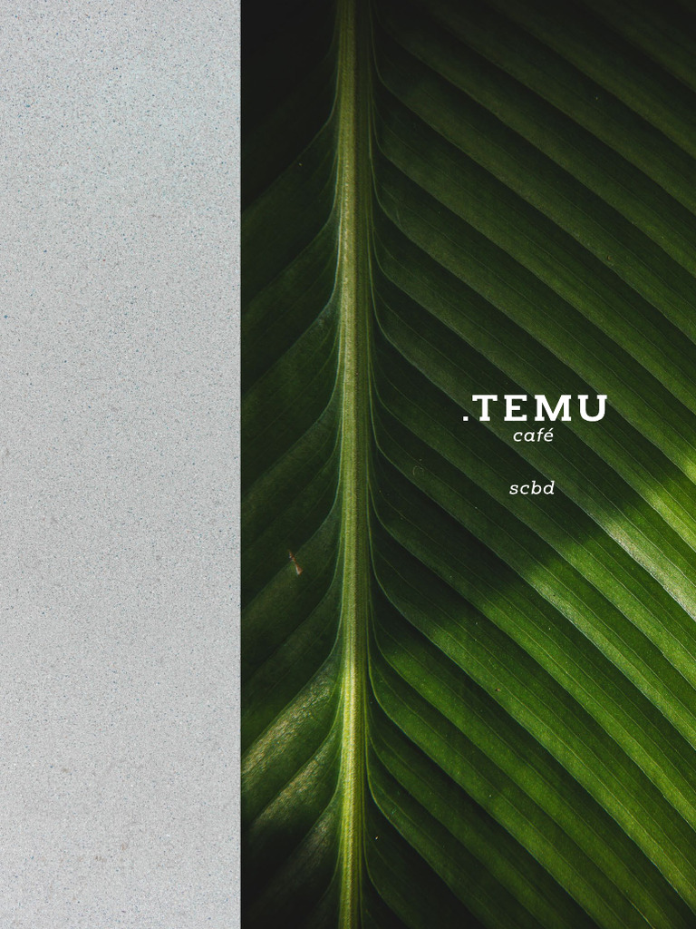 Menu Temu Cafe - SCBD | Download Free PDF | Indonesian Cuisine | Waffle