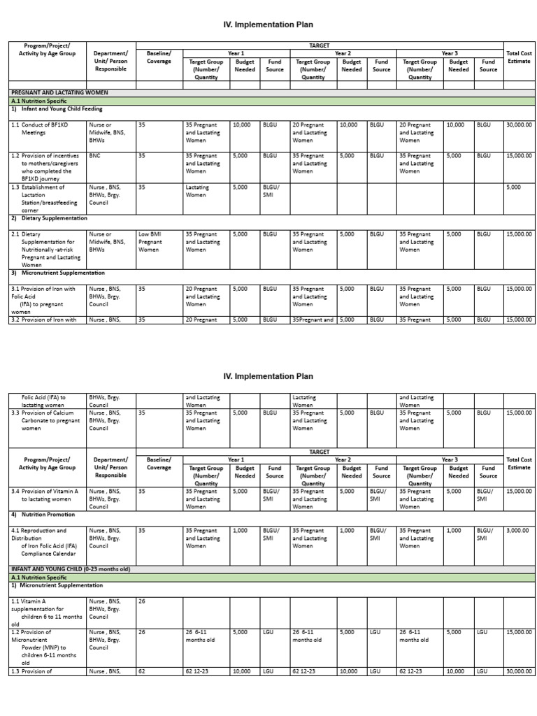Nutrition Program Implementation Plan | PDF | Micronutrient | Dietary Supplements