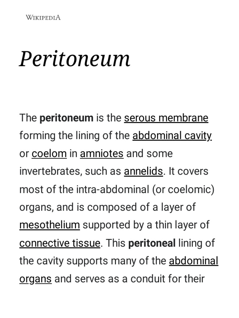 Peritoneum - Wikipedia | PDF | Peritoneum | Abdomen