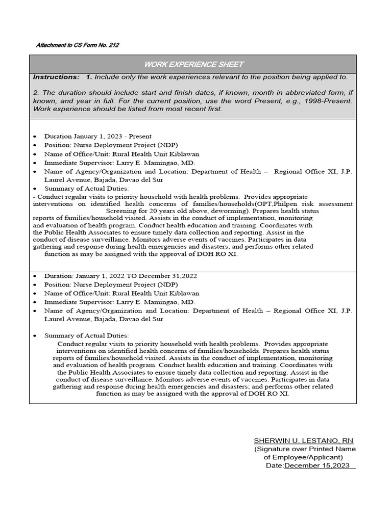 Work Experience Sheet | PDF