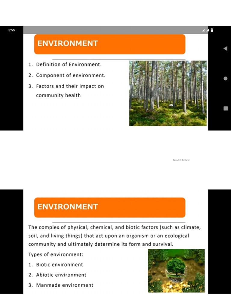 Environment PDF | PDF