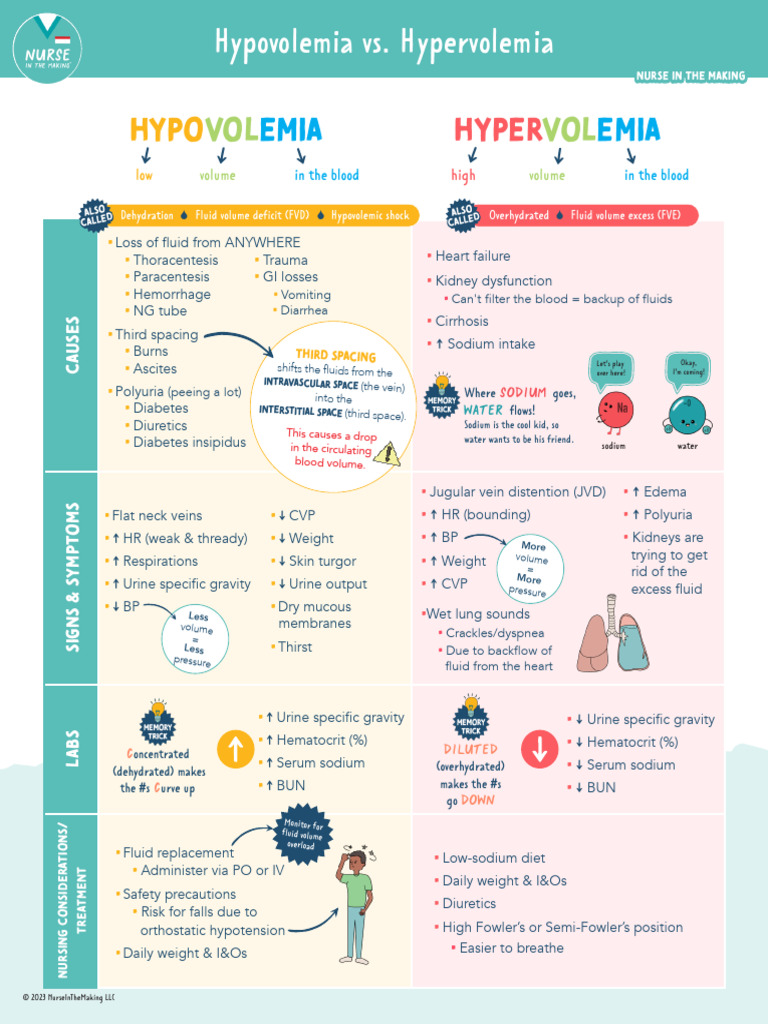 NITM - Free - Hypovolemia - Vs - Hypervolemia - 1L (Dragged) | PDF ...