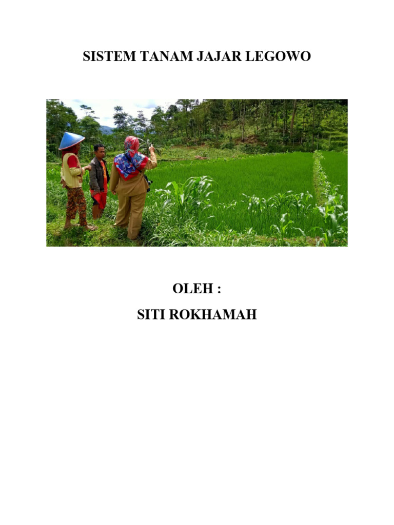 Sistem Tanam Jajar Legowo | PDF