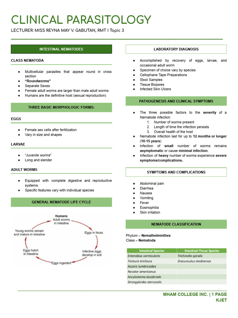 LEC#3 - Intestinal Nematodes | PDF | Nematode | Epidemiology