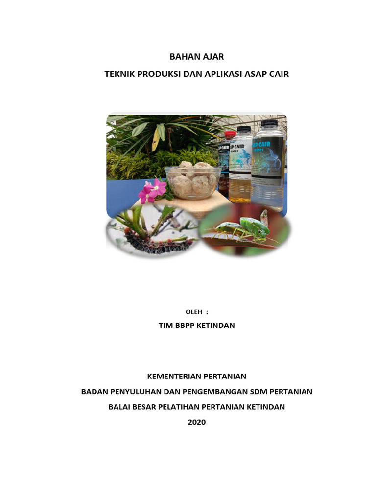 BA. Teknik Produksi Dan Aplikasi Asap Cair | PDF