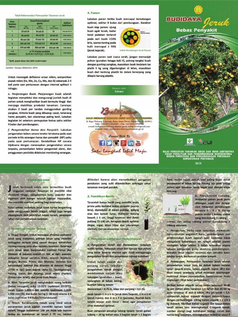 Budidaya Jeruk - Balitjestro - BITE2020 | PDF