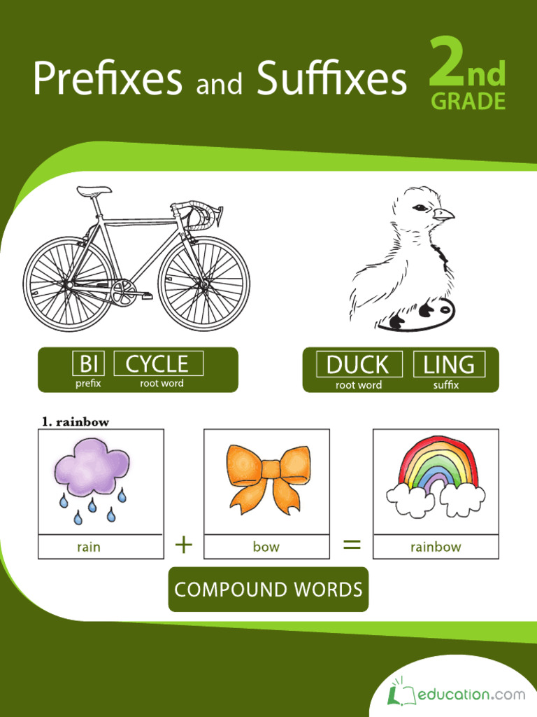 Understanding Prefixes and Suffixes | PDF | Word | Consonant