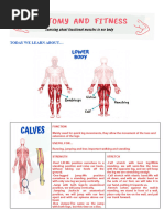 Squatober Study Guide | PDF