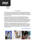 Apa Itu Kucing | PDF