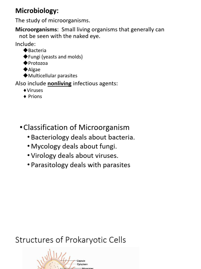 Microbiology Introduction Presentation | PDF | Cell Membrane | Bacteria Microbiology Introduction Presentation | PDF | Cell Membrane | Bacteria