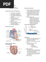 Pediatric ECG Lead Placement Guide | PDF | Electrocardiography | Medicine