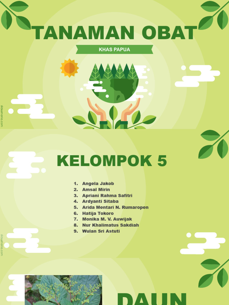 Kelompok 5 | PDF