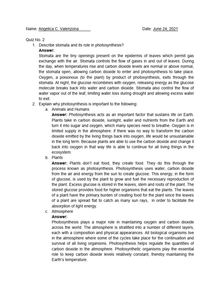 Quiz 2 Photosynthesis and Cellular Respiration | PDF | Cellular ...