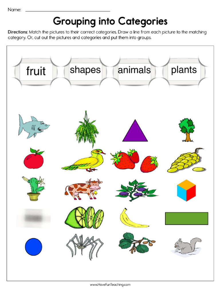 Grouping Into Categories Worksheet | PDF