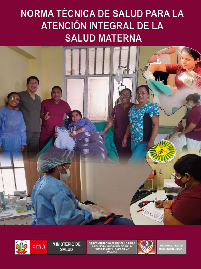 Norma Tecnica de Salud para Atención Integral de Salud Materna | PDF