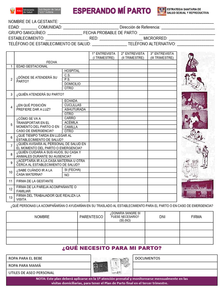 Plan de Parto: Formato y Ejemplo | PDF